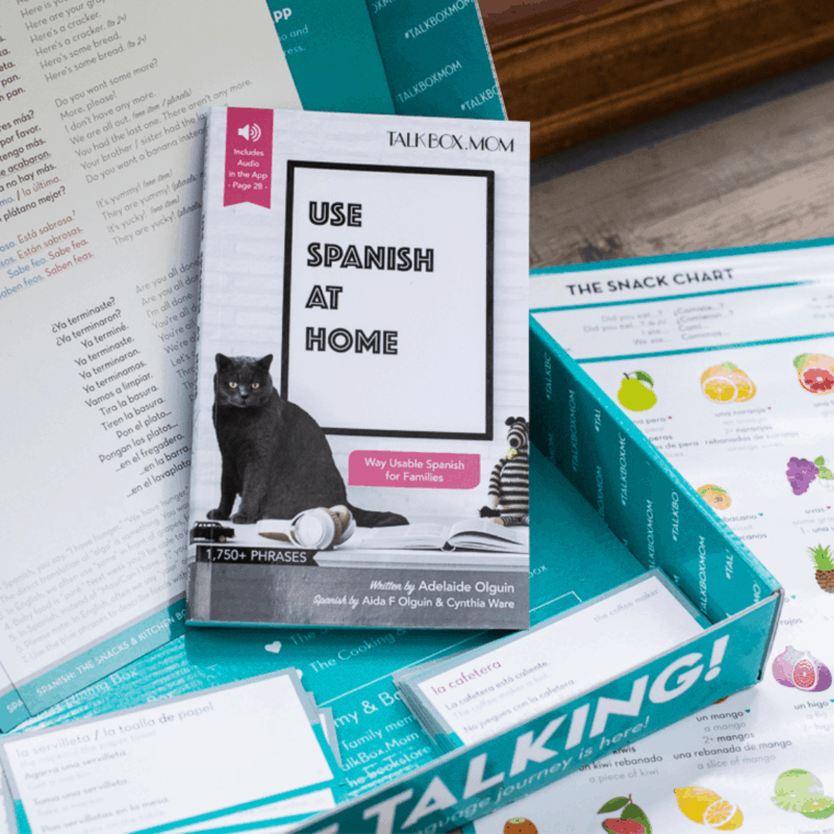 Best Spanish Subscription Boxes - Llamitas Spanish.com