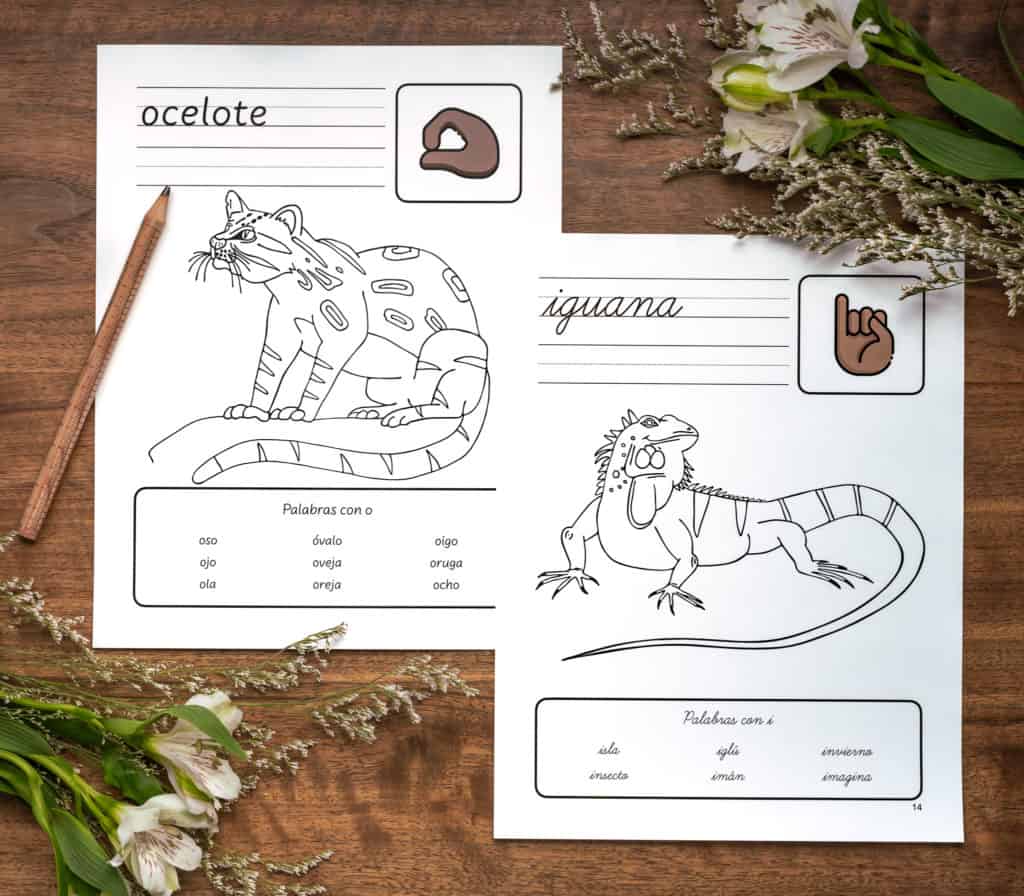 How to Teach your Kids Basic Spanish Phonics - Llamitas Spanish.com