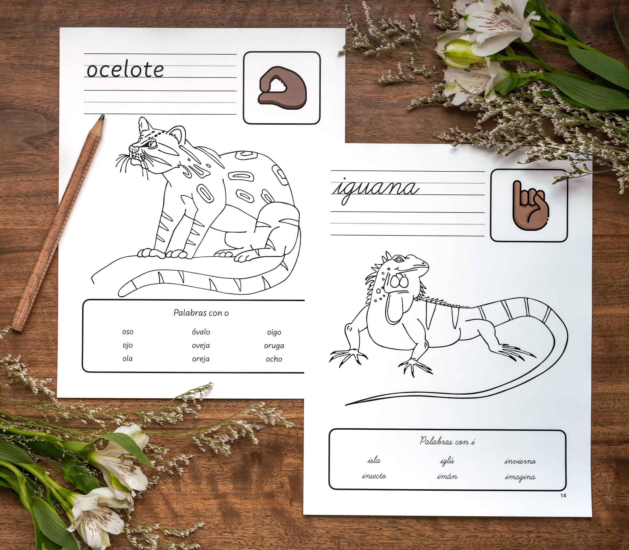 How to Teach your Kids Basic Spanish Phonics - Llamitas Spanish.com