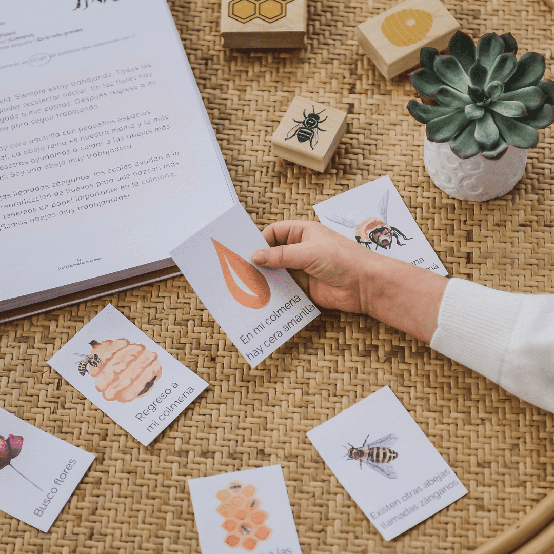 Preschool and Kindergarten Spanish Lessons - Llamitas Spanish.com