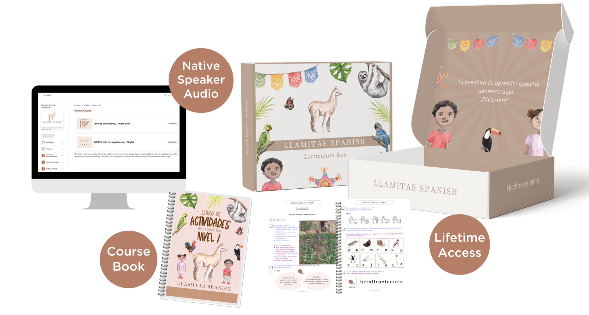 Los insectos: Spanish Lessons about Bugs - Llamitas Spanish.com