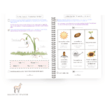 Plant Life Cycle Spanish Lesson - Llamitas Spanish.com