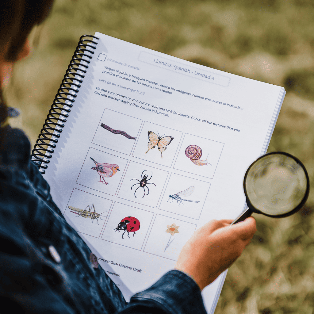 Los insectos: Spanish Lessons about Bugs - Llamitas Spanish.com