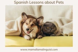 Las Mascotas: Spanish Lessons about Pets - Llamitas Spanish.com