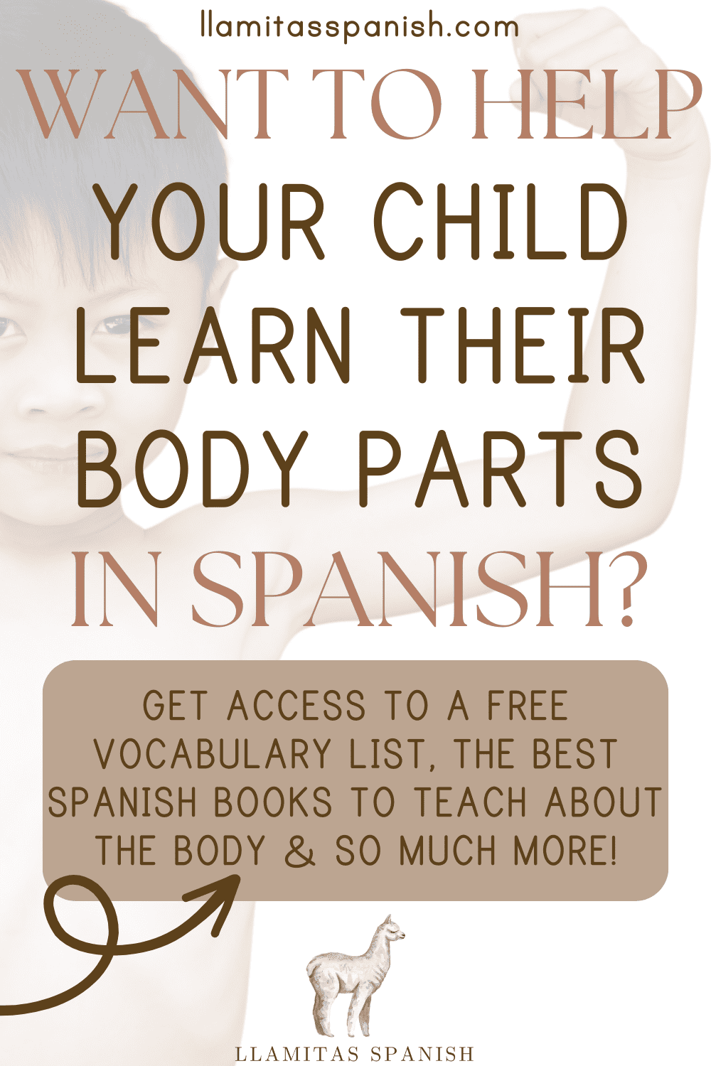 Body Parts in Spanish - Llamitas Spanish.com