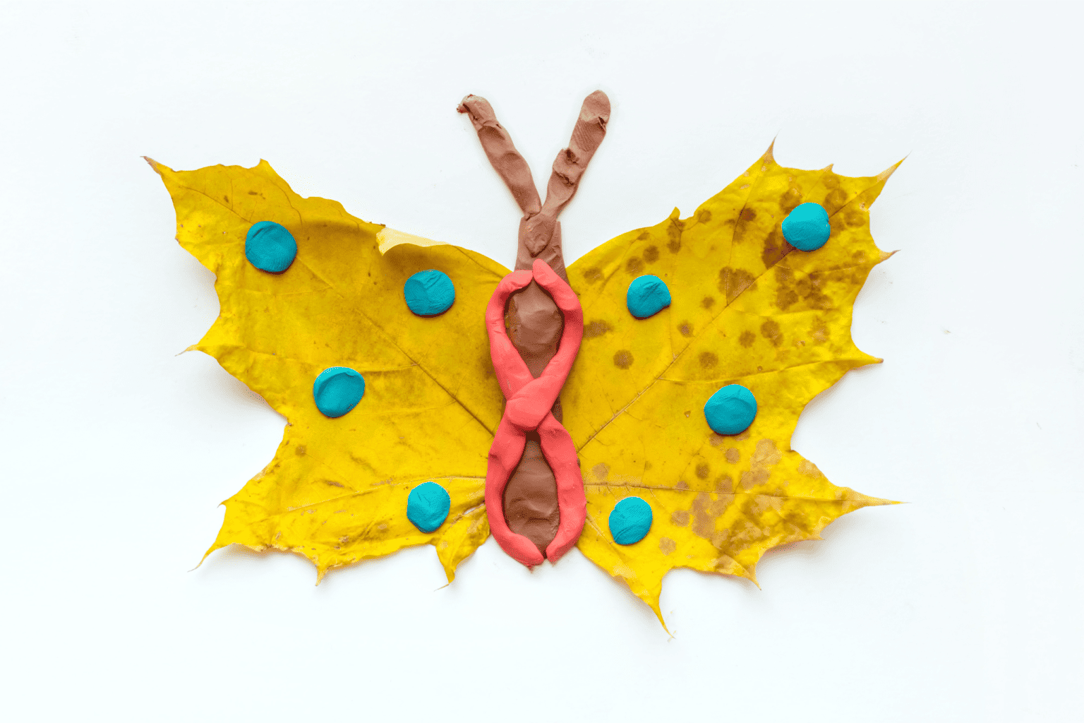 Las Mariposas: Easy Bilingual Butterfly Crafts - Llamitas Spanish.com