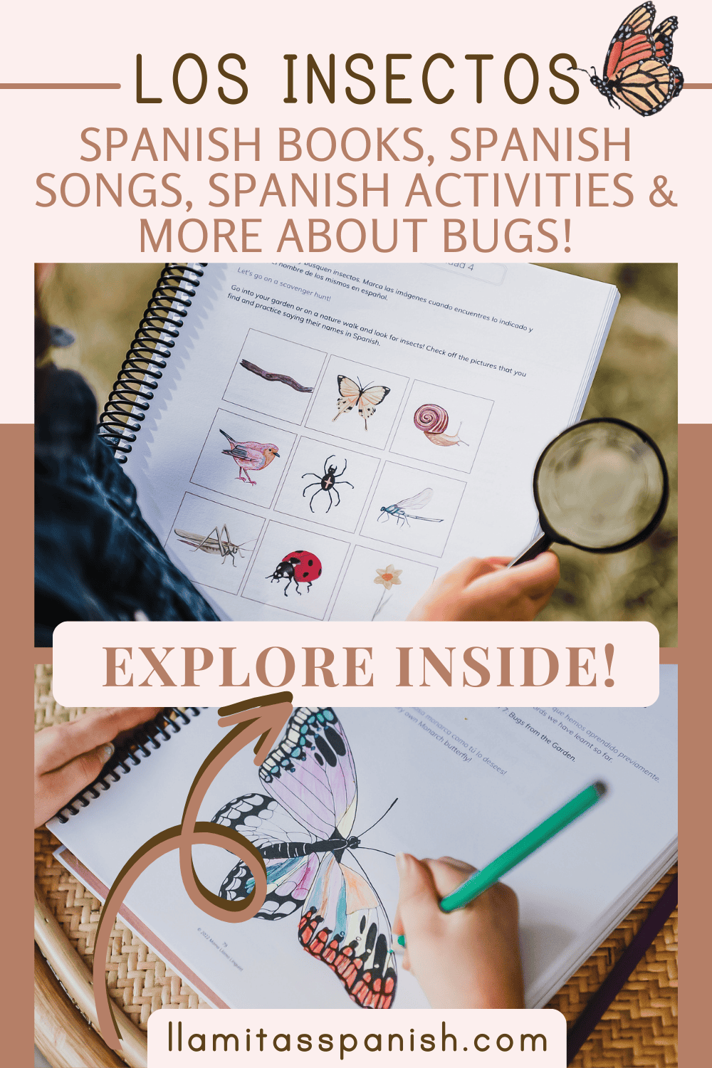 Los insectos: Spanish Lessons about Bugs - Llamitas Spanish.com