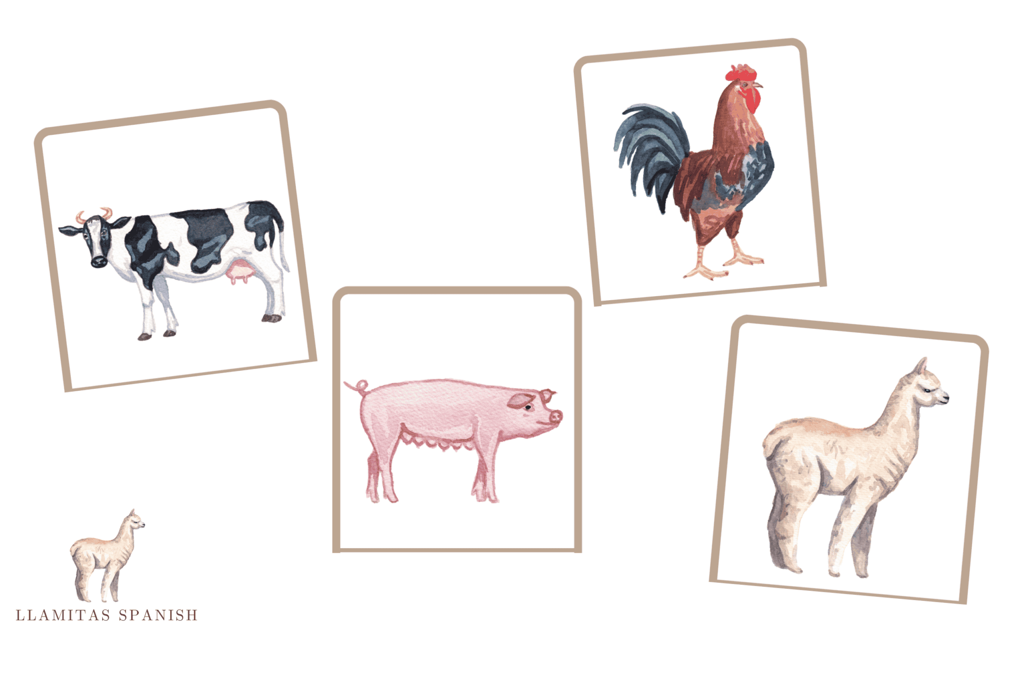 Spanish Montessori 3-Part Cards - Llamitas Spanish.com