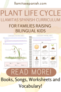 Plant Life Cycle Spanish Lesson - Llamitas Spanish.com